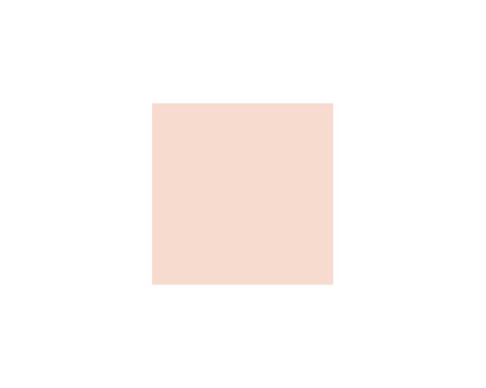 Pinky Beige SW0079 Paint by Sherwin-Williams - modlar.com