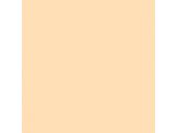 Pizzazz Peach SW6888 Paint by Sherwin-Williams - modlar.com