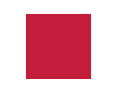 Poinsettia SW6594 Paint by Sherwin-Williams - modlar.com