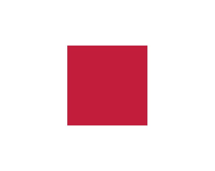 Poinsettia SW6594 Paint by Sherwin-Williams - modlar.com