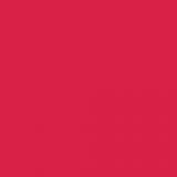 Positive Red SW6871 Paint by Sherwin-Williams - modlar.com