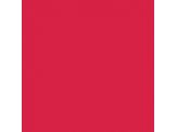 Positive Red SW6871 Paint by Sherwin-Williams - modlar.com