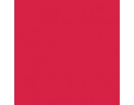Positive Red SW6871 Paint by Sherwin-Williams - modlar.com