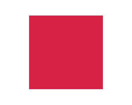 Positive Red SW6871 Paint by Sherwin-Williams - modlar.com