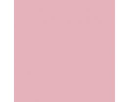 Pressed Flower SW6304 Paint by Sherwin-Williams - modlar.com