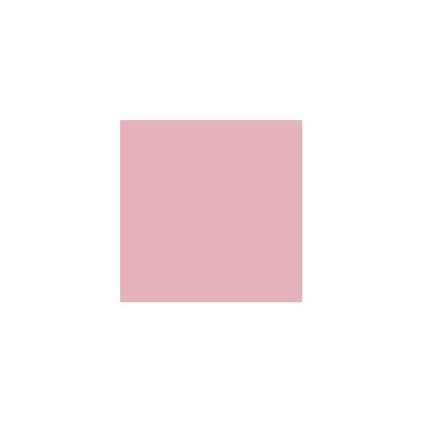 Pressed Flower SW6304 Paint by Sherwin-Williams - modlar.com