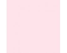 Priscilla SW6575 Paint by Sherwin-Williams - modlar.com