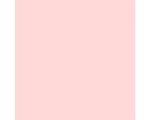 Rachel Pink SW0026 Paint by Sherwin-Williams - modlar.com