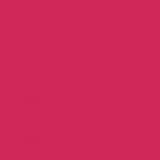 Radish SW6861 Paint by Sherwin-Williams - modlar.com