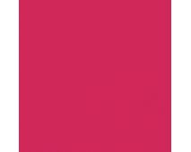 Radish SW6861 Paint by Sherwin-Williams - modlar.com