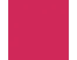 Radish SW6861 Paint by Sherwin-Williams - modlar.com