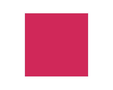 Radish SW6861 Paint by Sherwin-Williams - modlar.com