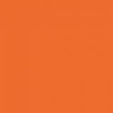 Raucous Orange SW6883 Paint by Sherwin-Williams - modlar.com