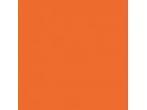 Raucous Orange SW6883 Paint by Sherwin-Williams - modlar.com