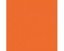 Raucous Orange SW6883 Paint by Sherwin-Williams - modlar.com