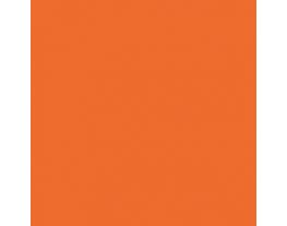 Raucous Orange SW6883 Paint by Sherwin-Williams - modlar.com