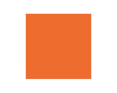 Raucous Orange SW6883 Paint by Sherwin-Williams - modlar.com