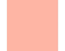 Ravishing Coral SW6612 Paint by Sherwin-Williams - modlar.com