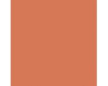 Red Cent SW6341 Paint by Sherwin-Williams - modlar.com