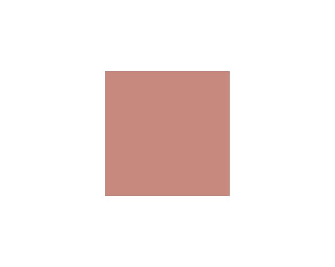 Reddened Earth SW6053 Paint by Sherwin-Williams - modlar.com