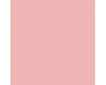 Resounding Rose SW6318 Paint by Sherwin-Williams - modlar.com