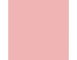 Resounding Rose SW6318 Paint by Sherwin-Williams - modlar.com