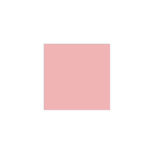 Resounding Rose SW6318 Paint by Sherwin-Williams - modlar.com