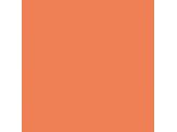 Robust Orange SW6628 Paint by Sherwin-Williams - modlar.com