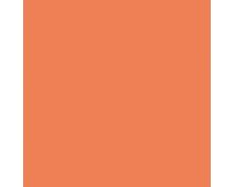 Robust Orange SW6628 Paint by Sherwin-Williams - modlar.com