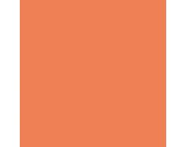 Robust Orange SW6628 Paint by Sherwin-Williams - modlar.com