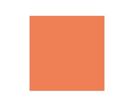 Robust Orange SW6628 Paint by Sherwin-Williams - modlar.com