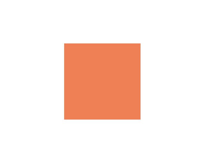 Robust Orange SW6628 Paint by Sherwin-Williams - modlar.com