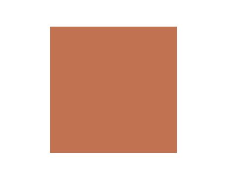Rookwood Terra Cotta SW2803 Paint by Sherwin-Williams - modlar.com