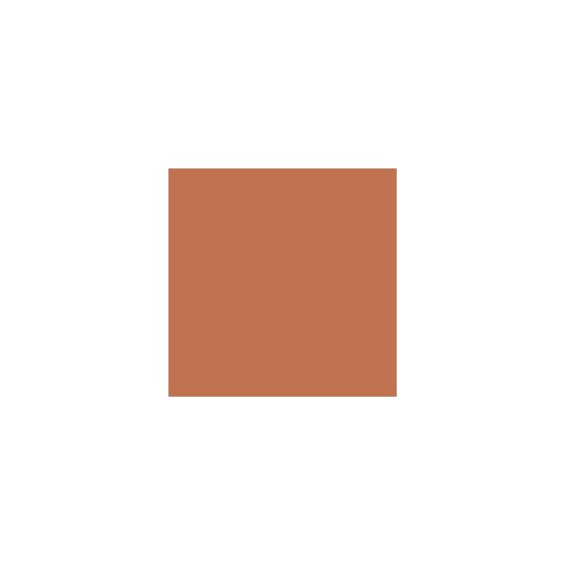 Rookwood Terra Cotta SW2803 Paint by Sherwin-Williams - modlar.com