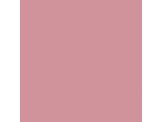 Rose Brocade SW0004 Paint by Sherwin-Williams - modlar.com