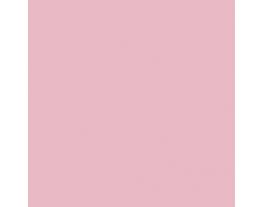 Rose Embroidery SW6297 Paint by Sherwin-Williams - modlar.com