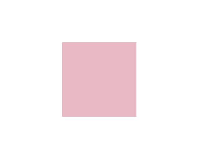 Rose Embroidery SW6297 Paint by Sherwin-Williams - modlar.com