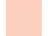 Rose Tan SW0069 Paint by Sherwin-Williams - modlar.com