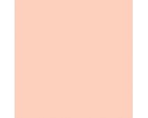 Rose Tan SW0069 Paint by Sherwin-Williams - modlar.com