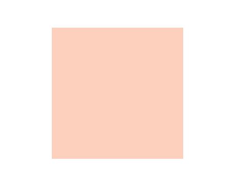 Rose Tan SW0069 Paint by Sherwin-Williams - modlar.com