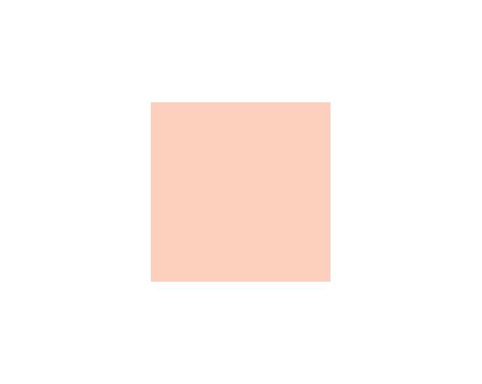 Rose Tan SW0069 Paint by Sherwin-Williams - modlar.com