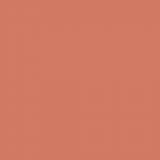 Roycroft Adobe SW0040 Paint by Sherwin-Williams - modlar.com