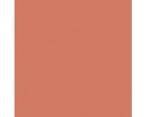 Roycroft Adobe SW0040 Paint by Sherwin-Williams - modlar.com