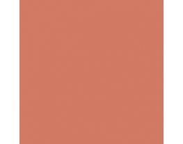 Roycroft Adobe SW0040 Paint by Sherwin-Williams - modlar.com