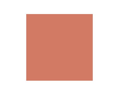 Roycroft Adobe SW0040 Paint by Sherwin-Williams - modlar.com