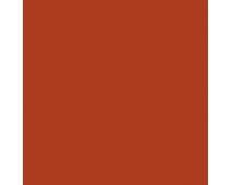 Roycroft Copper Red SW2839 Paint by Sherwin-Williams - modlar.com