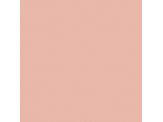 Roycroft Rose SW0034 Paint by Sherwin-Williams - modlar.com