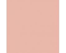 Roycroft Rose SW0034 Paint by Sherwin-Williams - modlar.com