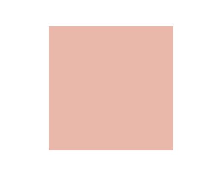 Roycroft Rose SW0034 Paint by Sherwin-Williams - modlar.com