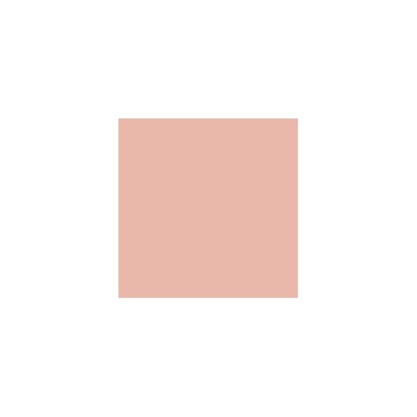 Roycroft Rose SW0034 Paint by Sherwin-Williams - modlar.com